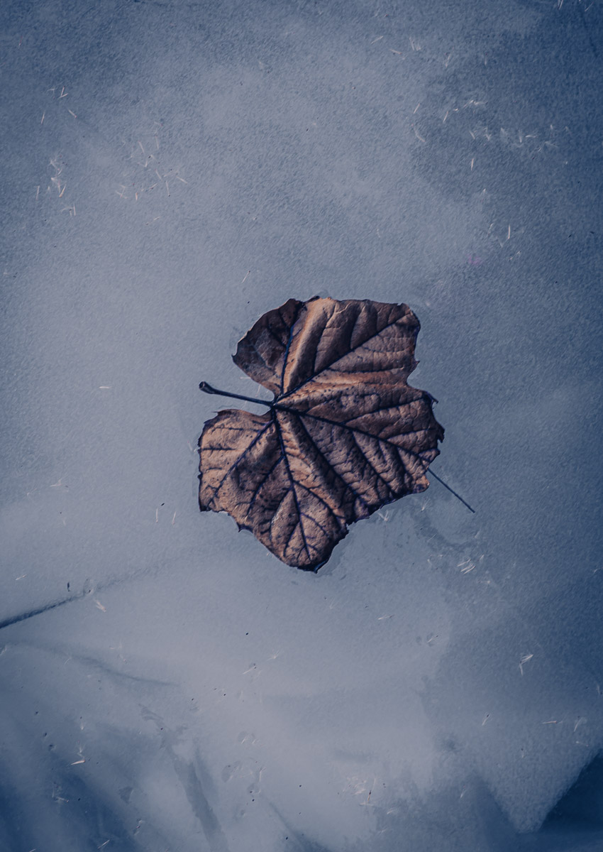 Portfolio - Ryan McGehee - Photographer